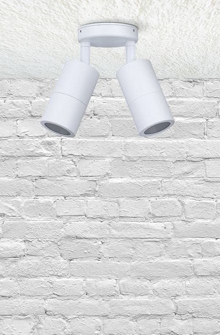 Seabrook Outdoor Twinlight Spotlight | Fat Shack Vintage
